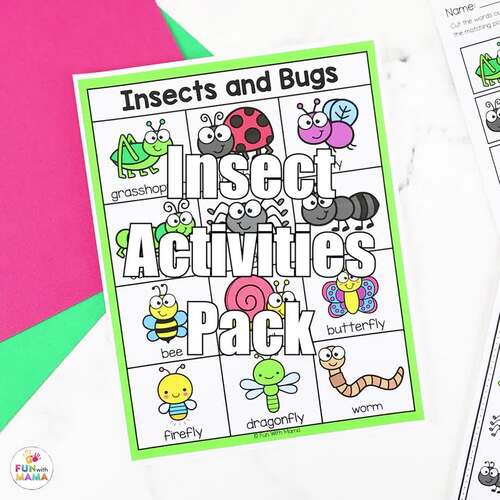 Insects & Bugs Activities Pack for Preschool & Pre K by Fun With Mama