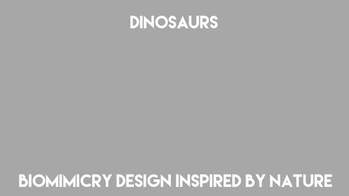Inspiring Dinosaur Activities | Engaging Biomimicry Design Thinking