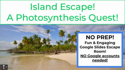 Photosynthesis Activity Digital Escape Room Photosynthesis Worksheet