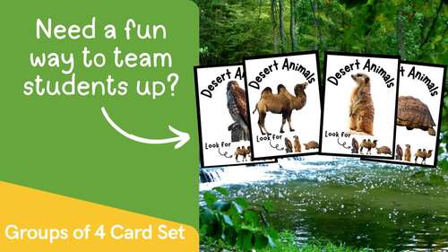 Group Cards! Animal Themed! Teams of 4! by HolmRoom | TPT