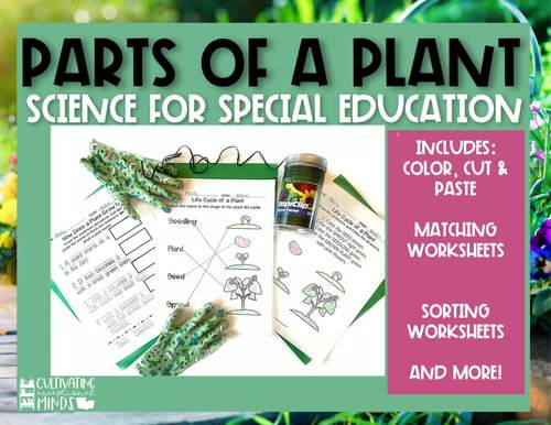 Adapted Science Unit Parts of a flower Plant Life Cycle Science Science ...