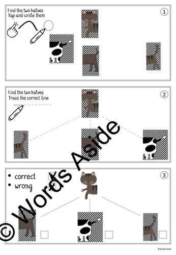 Brain Task Cards Preschool Autism SpEd Half by Words Aside | TPT