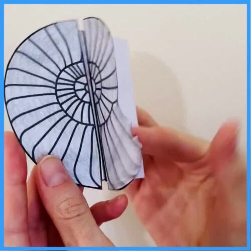 How a fossil is formed sequencing cards and foldable activity | TPT
