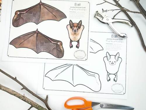 Bat | Jointed Animal Craft | Articulated Craft Template | Bats | TPT