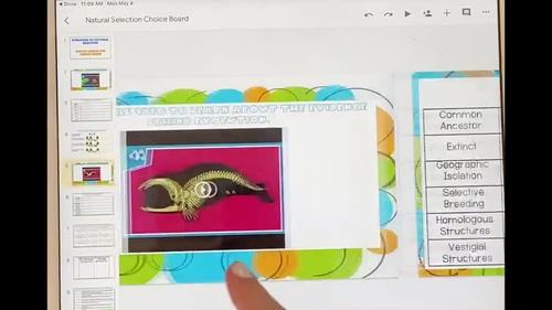 Evolution by Natural Selection Digital Lesson & Choice Board | Distance ...