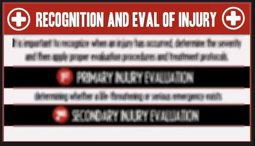 ASSESSMENT AND EVALUATION OF INJURIES- FULL UNIT by The Purposeful Pedagogy