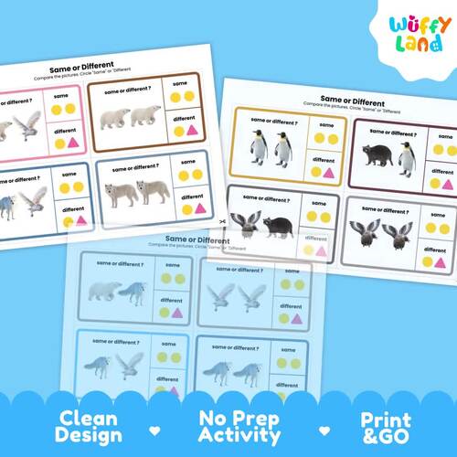 Polar Animal Same or Different Cards | Visual Discrimination Task Cards