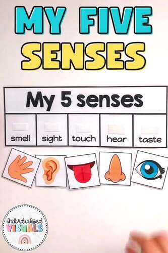 5 Senses Task Cards for Special Education - Five Senses Activity