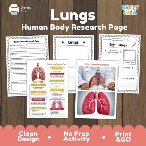 Lungs Human Body Research Project Respiratory System Science ...