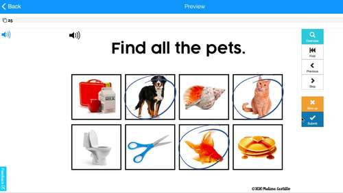Find the Category | Real pictures | Boom Cards by ABA Learning Corner