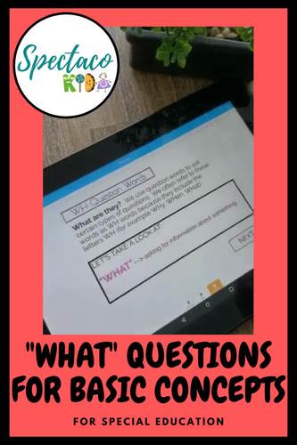 (DISTANCE LEARNING) Wh- Questions: WHAT QUESTIONS/ Basic concepts ...