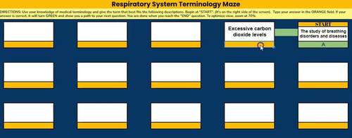 Respiratory System Terminology Digital Google Sheetsᵀᴹ Maze and Print ...
