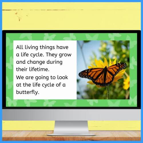 The Life Cycle of a Butterfly PowerPoint Presentation Slide Show Lesson