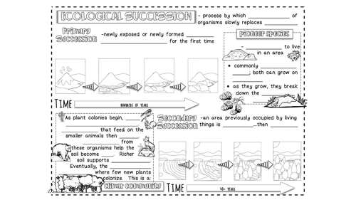 Ecological Succession Doodle Notes & Quiz | Middle & High School Life ...