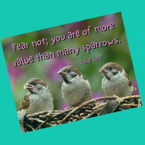 Bible Memory Verse Activities for Luke 12:7 by The Jillybean Jar