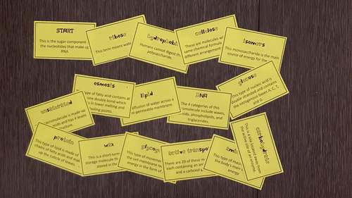 Biochemistry Warm-Up Game: "I have, who has?" Vocabulary Chain SBI4U