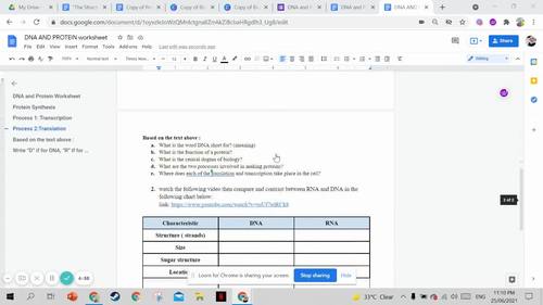 NGSS Aligned DNA and Protein Synthesis Worksheet for Middle School
