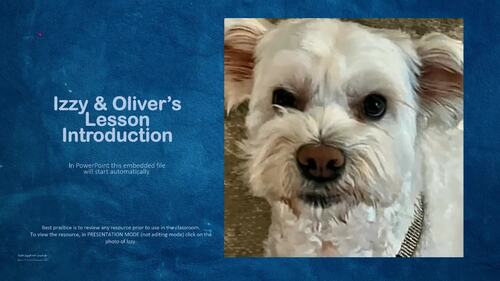 Ready to Use No Prep CAREER EXPLORATION JOB INVESTIGATION SEL Lesson w ...