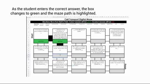 Cell Transport Digital and Printable Maze Worksheet by JayZee | TPT