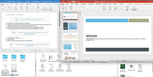 IB Biology AHL Topic 10.1 Meiosis PPT , Guided Notes, Activities