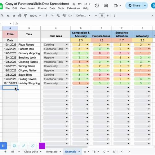 Functional Life Skills Tracker, Rubric, and Progress Monitoring Spreadsheet