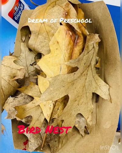 preschool and kindergarten Bird Nest Science Activity | Spring Nest