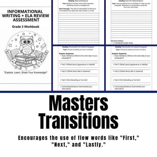 Grade 3 Informational Writing Worksheets | Nonfiction Paragraph Assessment