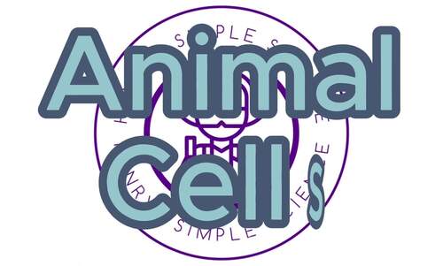 Animal Cells (inc. cheek cell lab) - low ability/special ed/SEND
