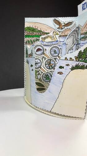 River Biome Model - 3D Model - Biome Project by Nitty Gritty Science