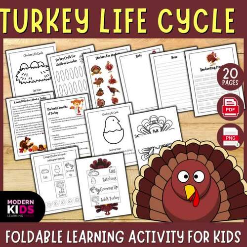 Turkey Life cycle - Foldable Activity Worksheet by ModernKids LearningPress