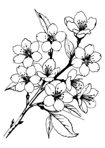 Flowers Coloring Pages: Simple & Relaxing Coloring Book for Adults ...