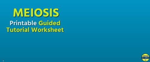 Meiosis Guided Tutorial | Worksheet & Drag and Drop Activity in Google ...