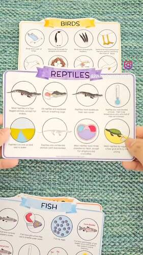 Animal Classification Learning Pack - Vertebrate Characteristics