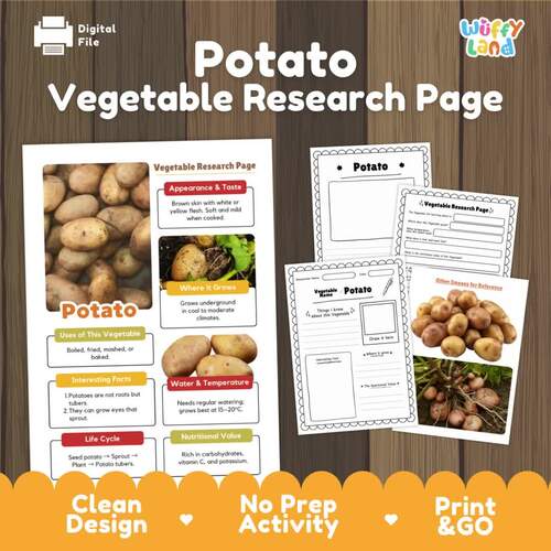 Potato Vegetable Research Project | Plant Science Activity Life Cycle ...