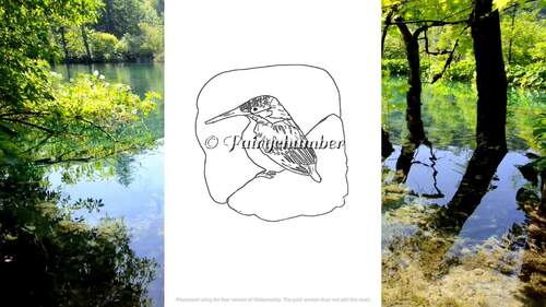 Majestic Kingfisher Coloring Page – Inspire Creativity and Nature ...