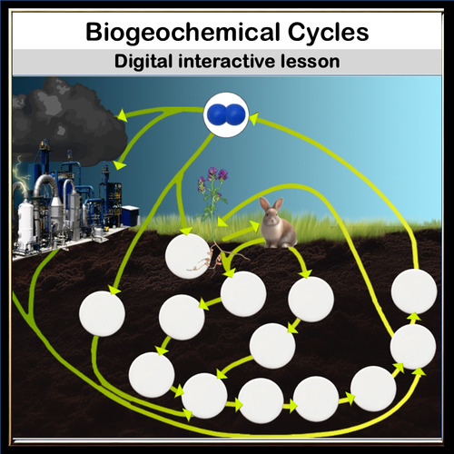 Biogeochemical Cycles Digital Resource with Interactive Activities No Prep