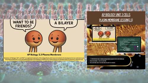 AP Biology UNIT 2 Cells 2.3 Plasma Membrane Lesson Guide | TPT