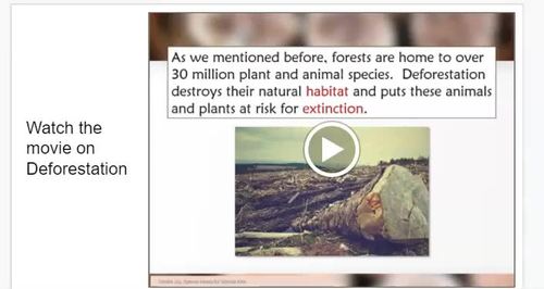 Deforestation Unit Special Education PRINT AND DIGITAL | Environmental ...