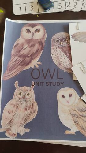 Owl Unit Study | 56 Page Homeschool Nature Study | Classroom Learning ...