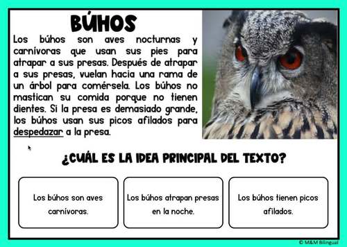 SPANISH Reading Comprehension | Birds Boom Cards by MM Bilingual