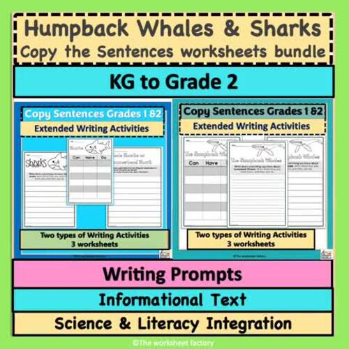 Humpback Whales & Sharks - Copy the Sentences Worksheets BUNDLE KG to G2