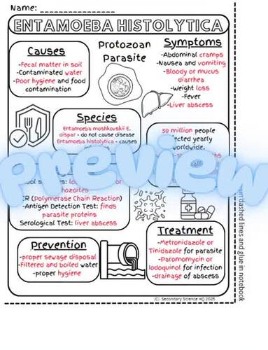 Entamoeba histolytica Doodle Notes | Health | FACS by Secondary Science HQ