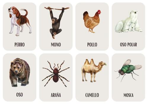 48 English-Spanish Flashcards | Animals by CendulkaCreations | TPT