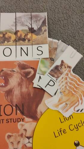 Lion Unit Study | 53 Pages Homeschool Nature Study | Classroom Learning ...