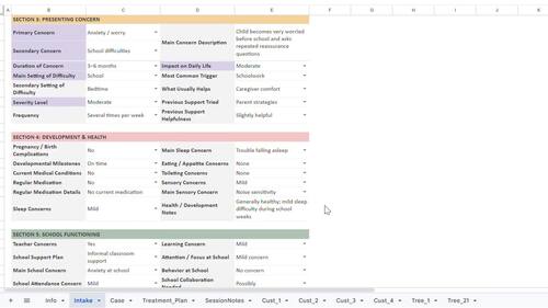 Child Therapy Intake Treatment Plan Session Notes Workflow Spreadsheet ...