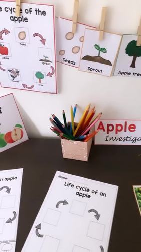 All about apples - Investigation science center by The kinder teacher