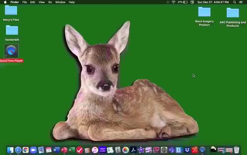 Word Imaging and Spelling Single Syllables - Short Vowels - Boom Cards!