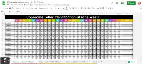Kindergarten Digital Assessments by Kelli in Kinder | TPT