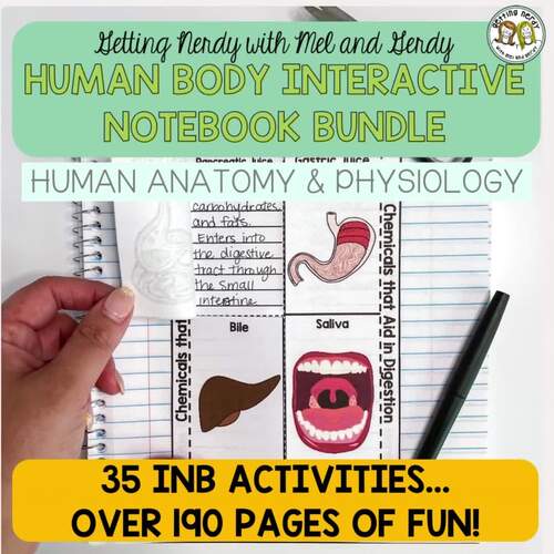 Human Body Systems | Anatomy | Physiology Interactive Notebook Activity ...
