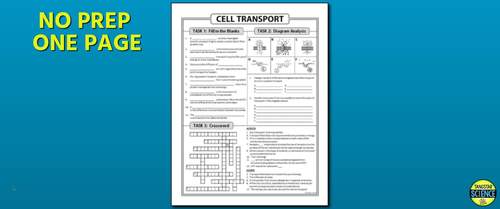 Cell Transport Review Worksheet / Test Prep | Print & Google Slides Options